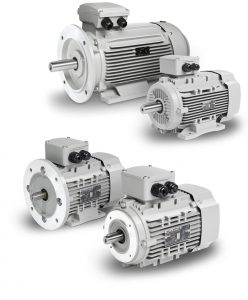 MOTORS – MOLL-MOTOR
